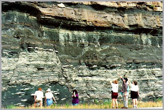 The Texas Lone Star: Paleontology and geology of Texas