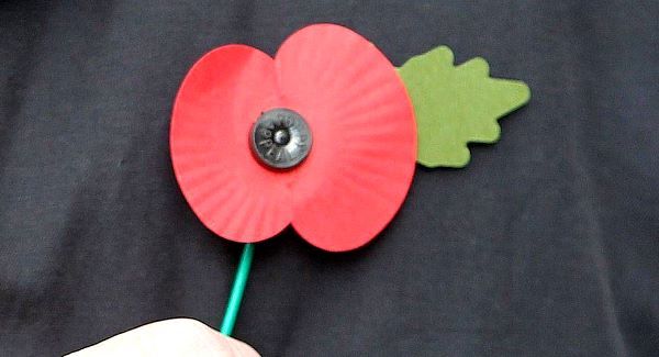 Locky's English Playground: Culture & World: What's That Flower Badge?