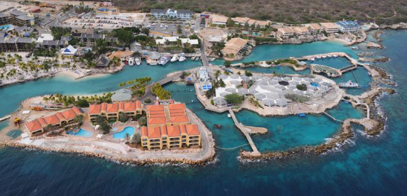 The Dolphin Embassy Times: Research at the Curacao Dolphin Therapy Center