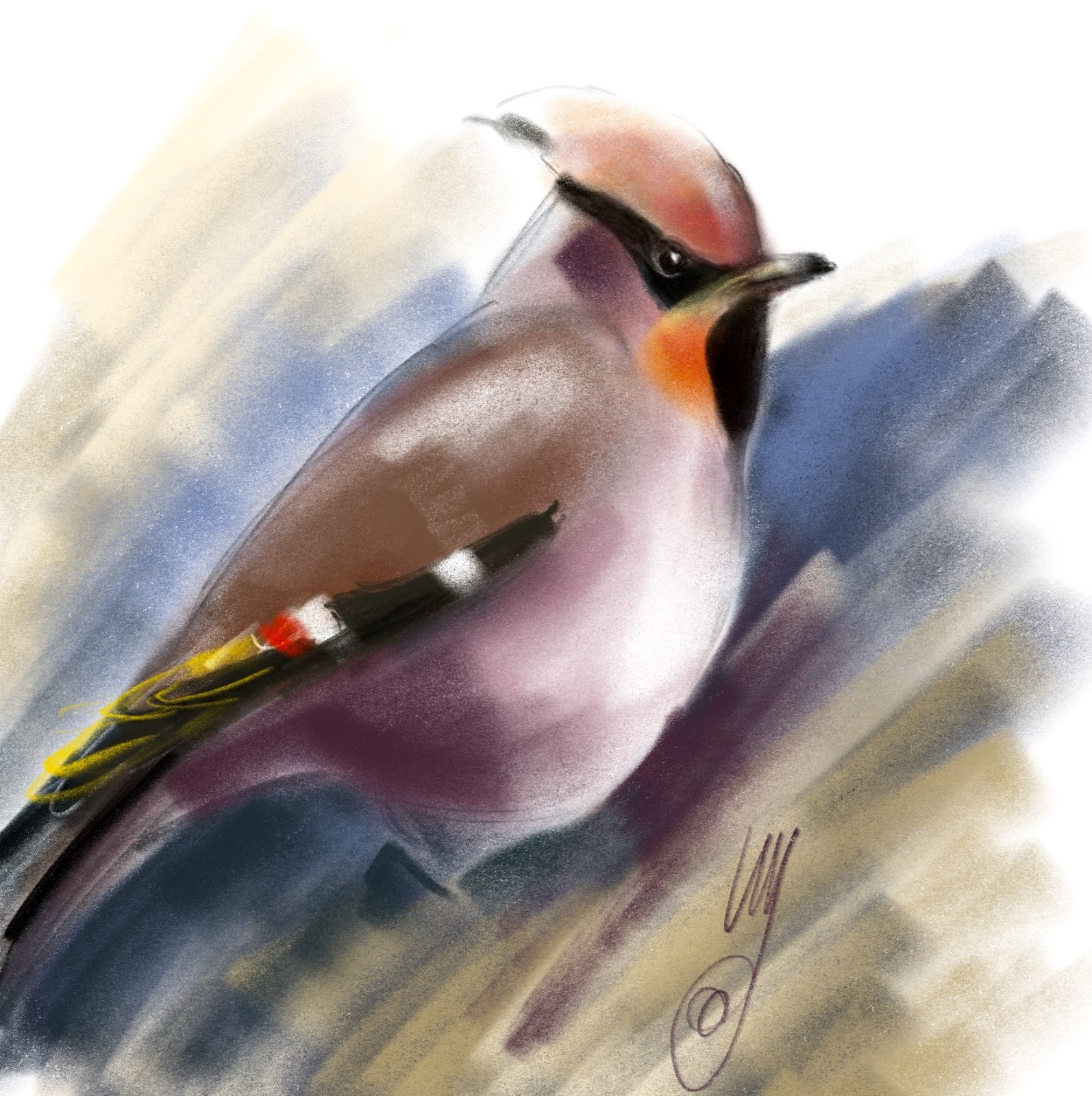 Birds: Bohemian Waxwing