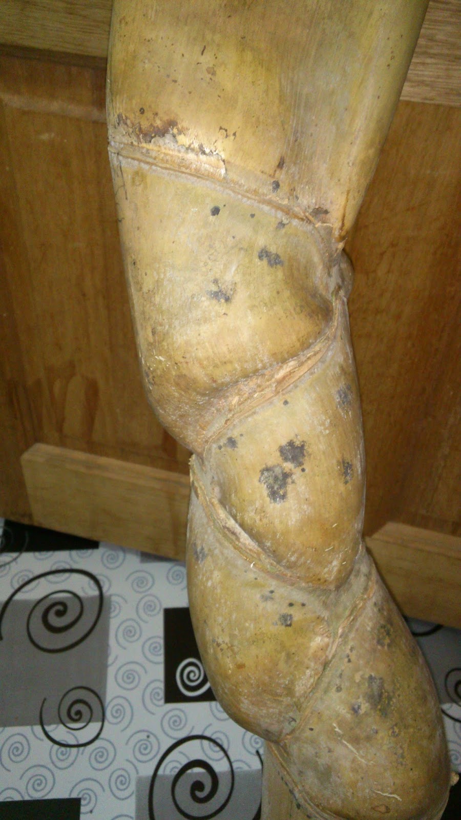 ZAMRUD TECHNOLOGY: Natural Unique & Rare (4) ~Pelbagai Kesenian Buluh ...