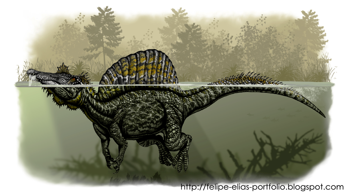 FELIPE ALVES ELIAS - Portfolio: Spinosaurus aegyptiacus (2010)