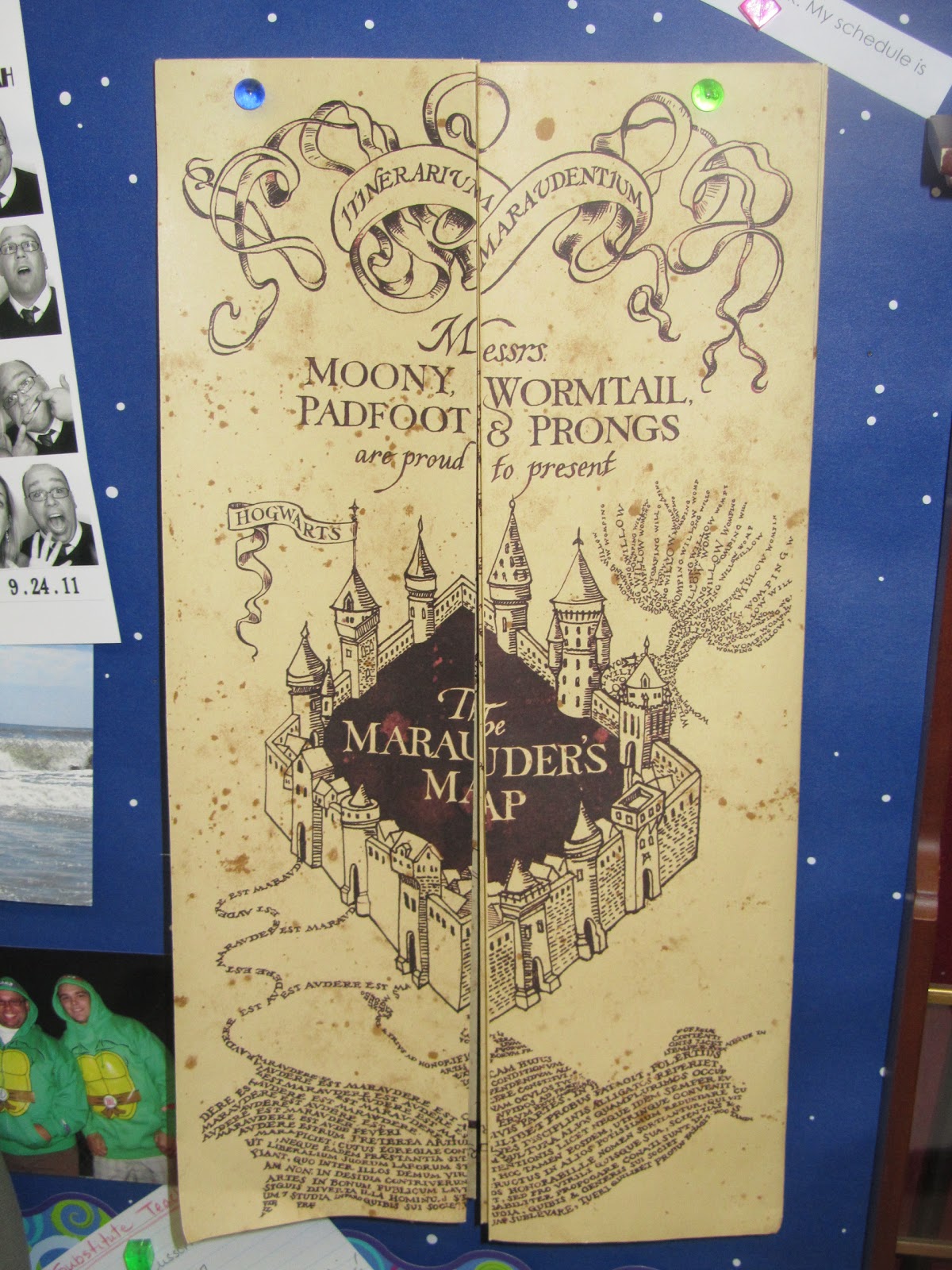 The Reading Buddies: Harry Potter Classroom Theme