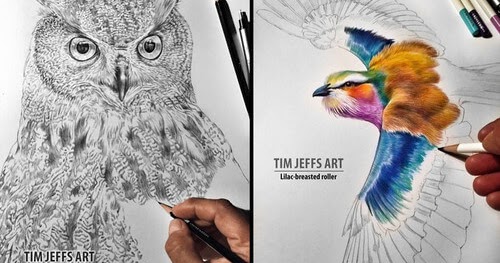 Design Stack: A Blog about Art, Design and Architecture: B&W and Color ...