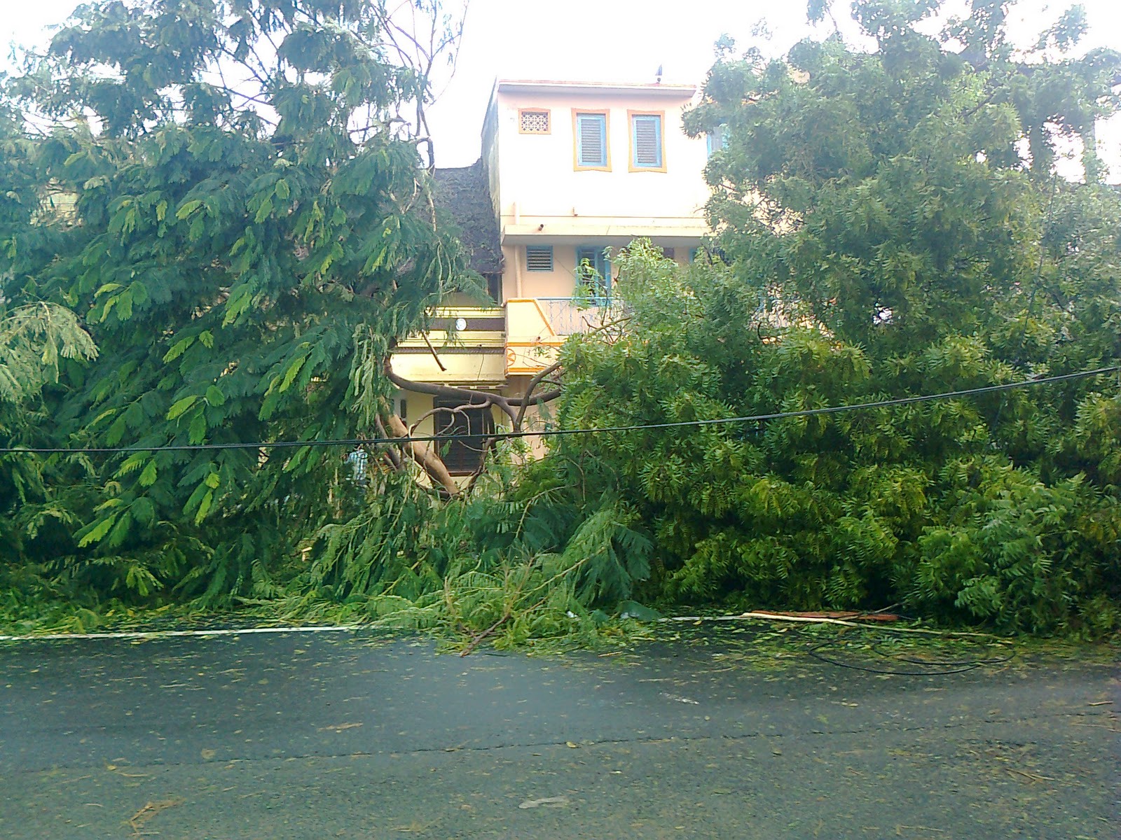 World at your feet: Pondicherry - A Silent Hill (Thane Cyclone) Photographs