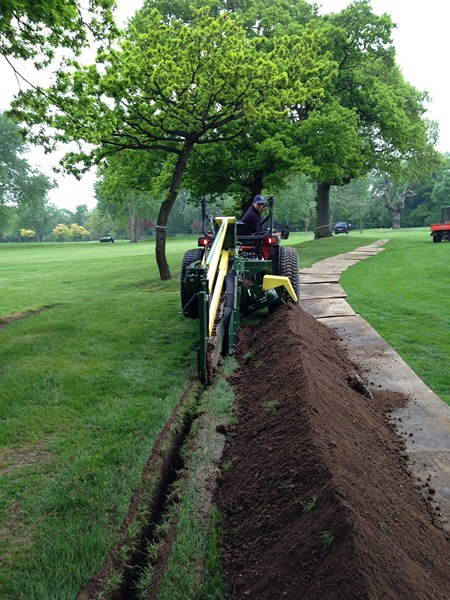 Ealing Golf Course Agronomy Department: These roots need pruning!!!