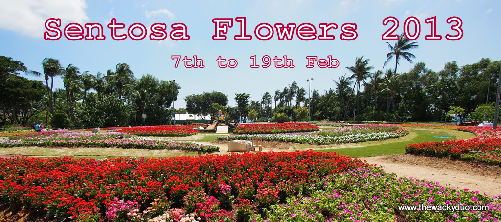Sentosa Flowers 2013 @ Palawan Beach - TheWackyDuo.com - Singapore ...