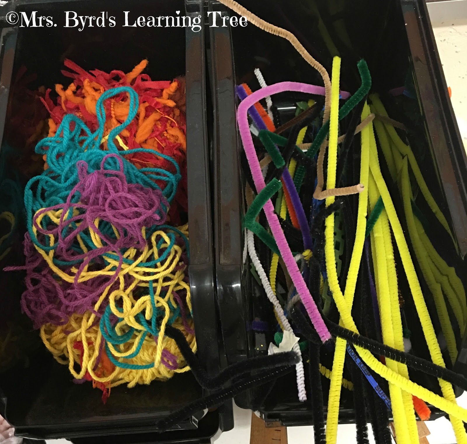 Mrs. Byrd's Learning Tree