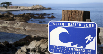 Avian Flu Diary: Tsunami Preparedness Week 2019
