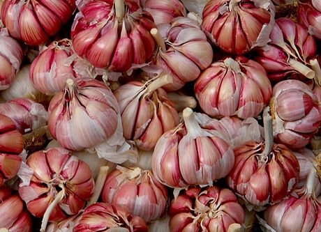International food blog: ITALY: Ligurian Garlic or Aglio di Vessalico ...