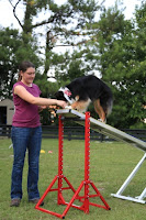 Tips, Tricks, and Training: Using The Tip Assist To Improve Teeter ...