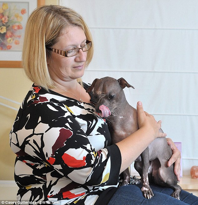 dailypetfwd: Mugly the ugliest dog gets dressed up... to protect his ...