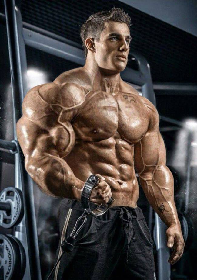 Muscle Bear Hairy: Morphs