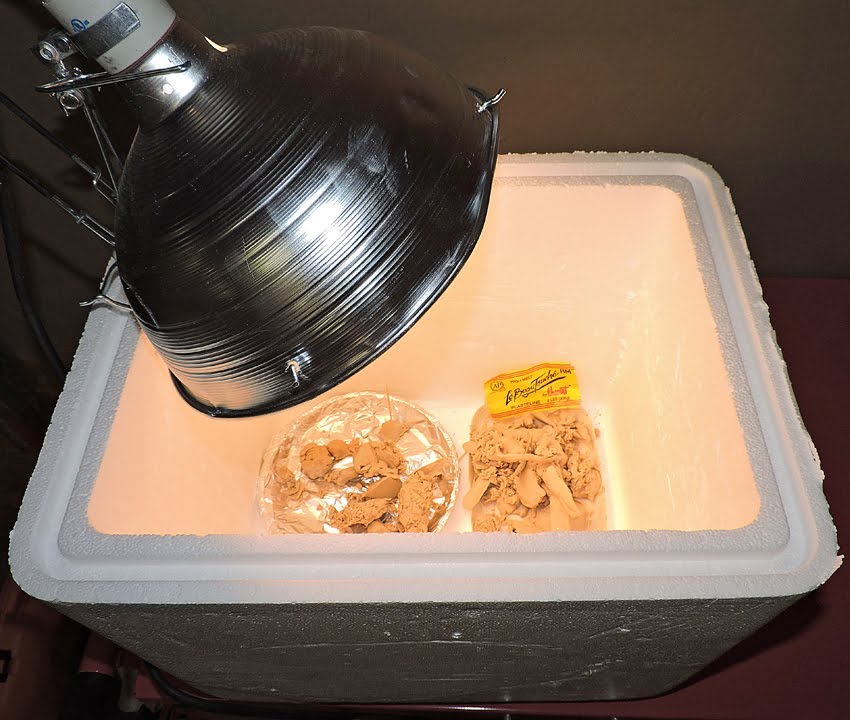 Lori Kiplinger Pandy Sculpture: DIY Clay Warmer for less than $10