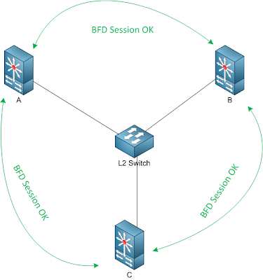 Fragmentation Needed: BFD - Funny business on Nexus
