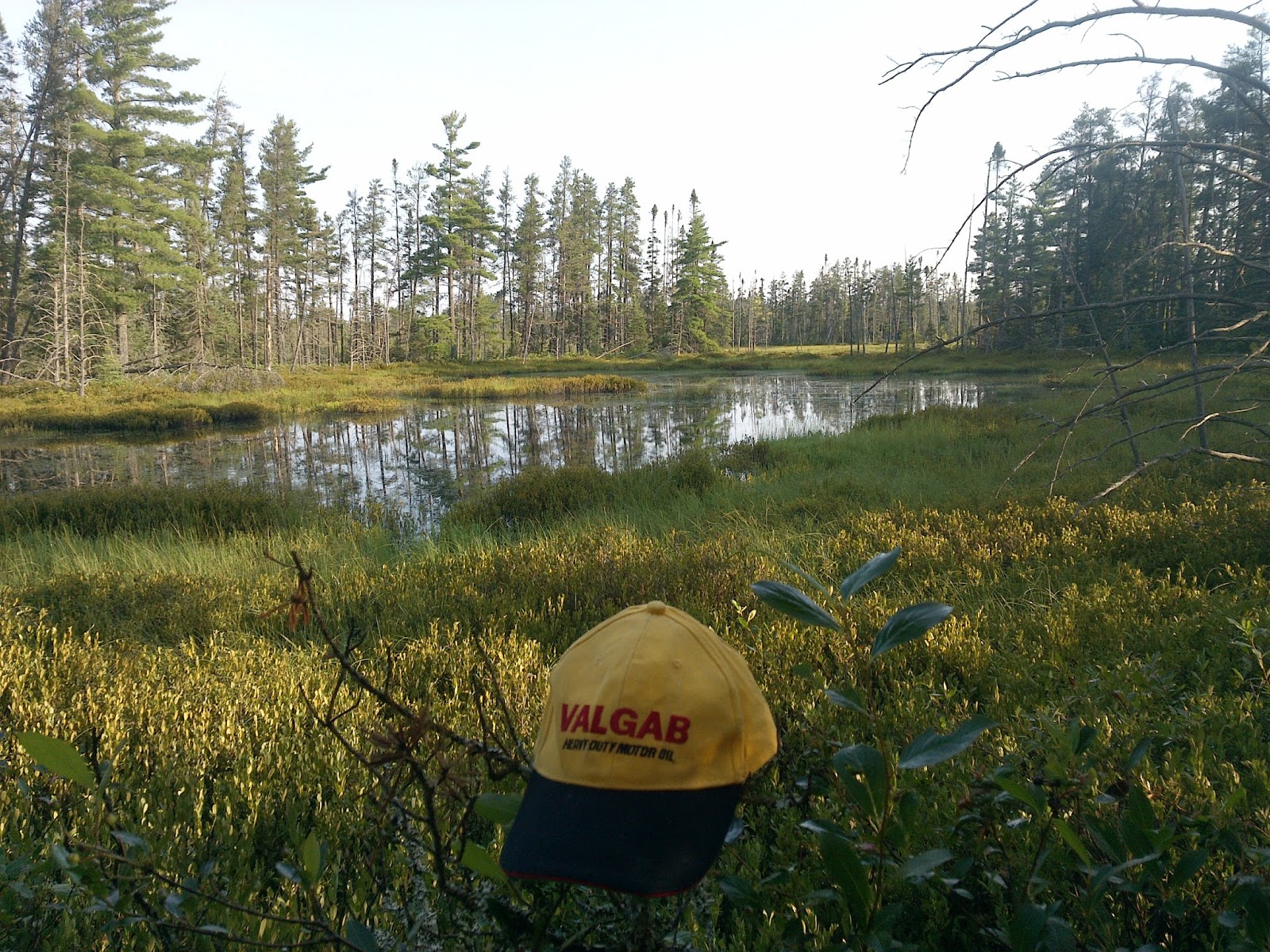 Heart and Sole: There be cliffs! Michigan's Niagara Escarpment