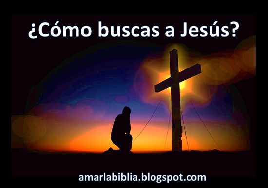 Amar La Biblia: ¿Cómo buscas a Jesús?