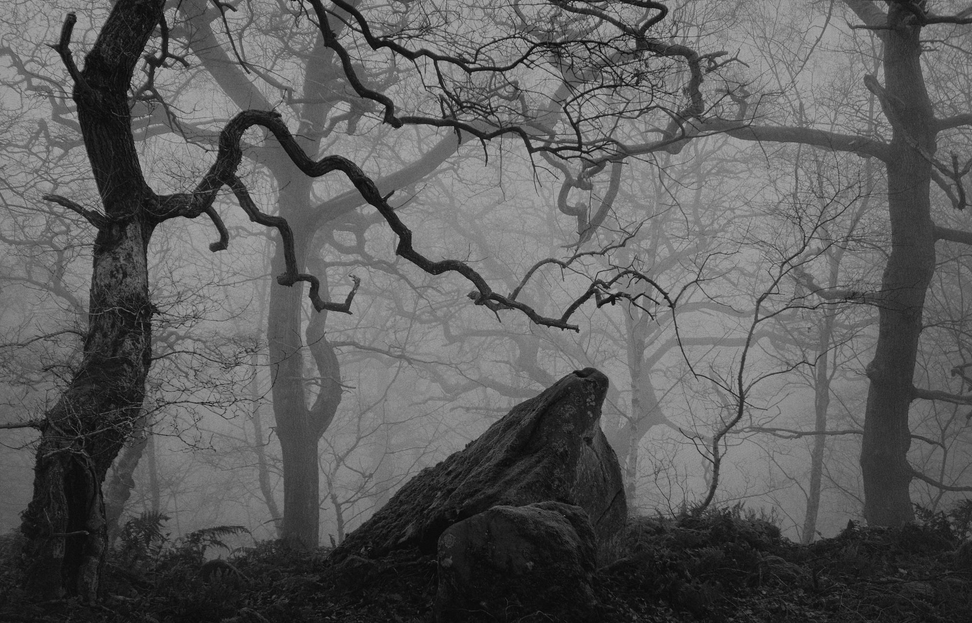 Slike | urbane legende,istinite strasne price i ukleta mesta