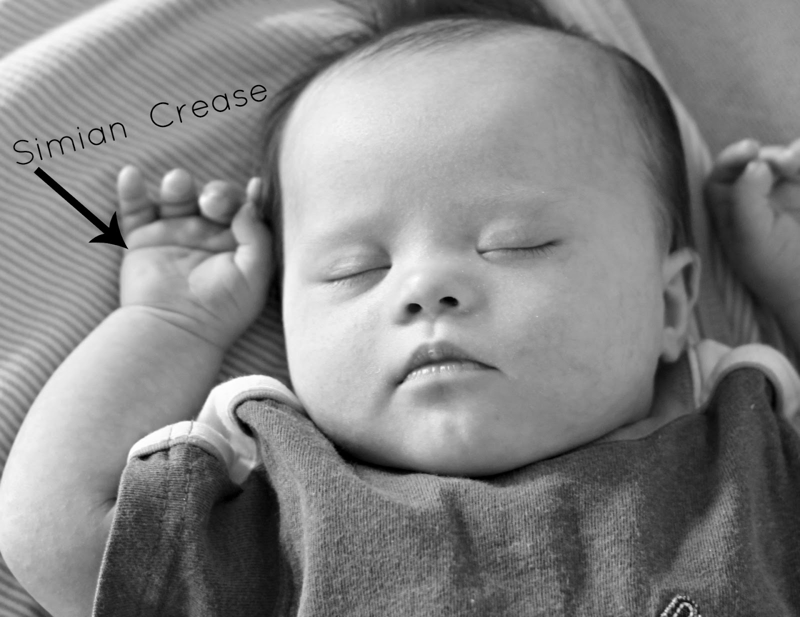 Hepworth, Party of Seven...: August 2012