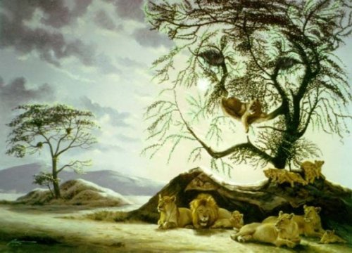 Amazing Examples of Hidden Image Illusion