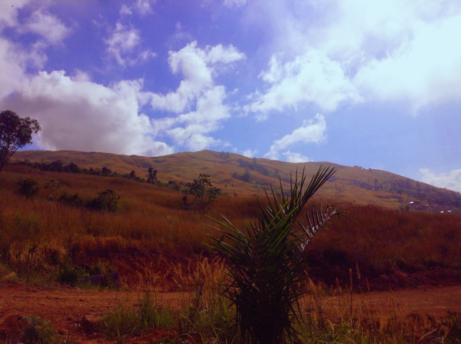 Mt. Balagbag - From The Highest Peak to The Deepest Sea