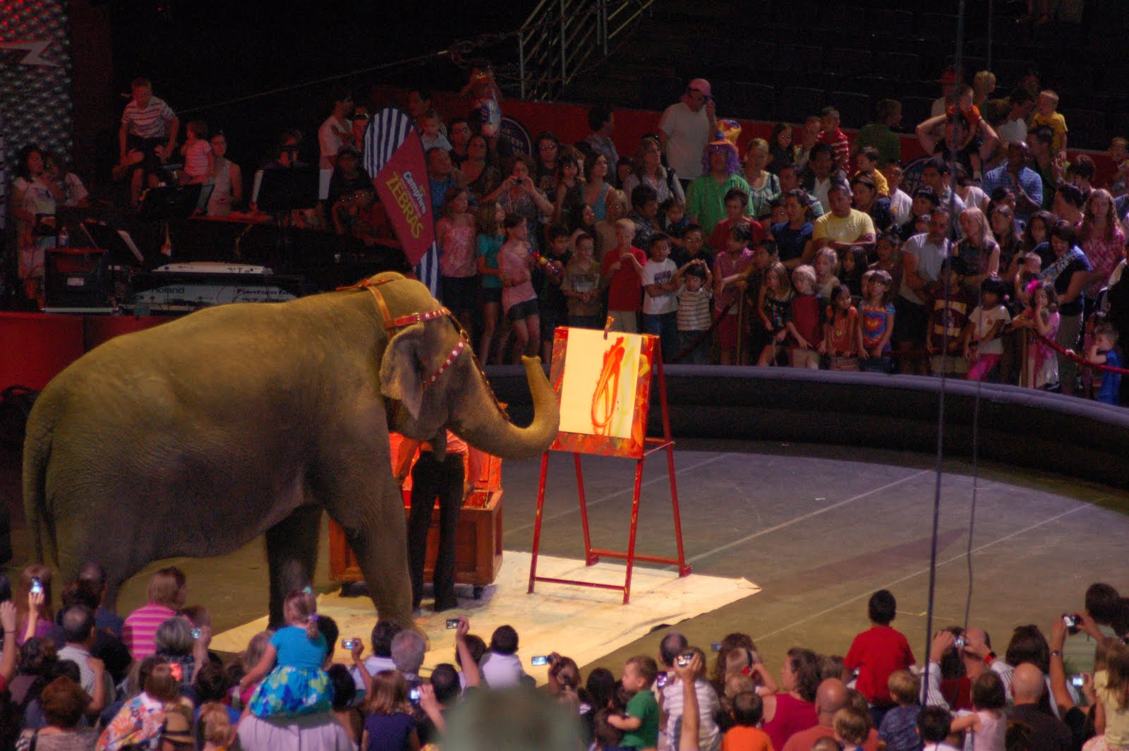 My Little Patch of Sunshine: Review: Ringling Bros and Barnum & Bailey ...