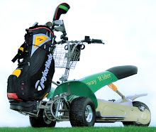 Blogger: User Profile: Fairway Rider G3 Single Seater Electric Golf Buggy