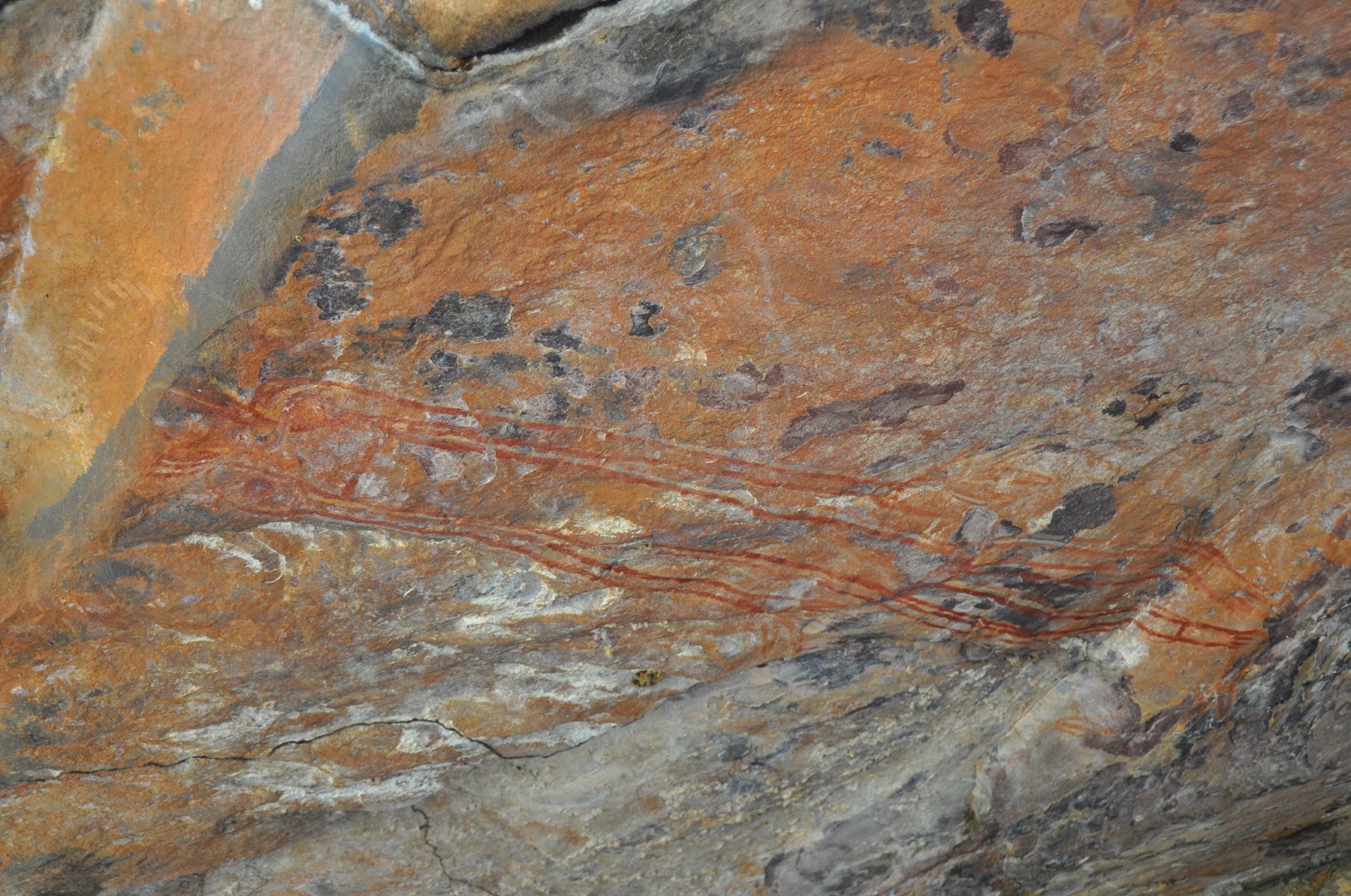 BarbaraTVan: BARBARA'S KIMBERLEY ADVENTURE - WALCOTT INLET TO GIBB ...