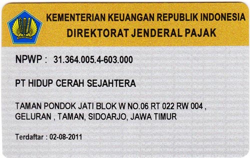 Kumpulan Tugas: Pengantar Bisnis Informatika Tugas ke-1
