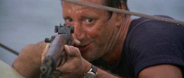 F This Movie!: A Rational Man: Martin Brody in Jaws