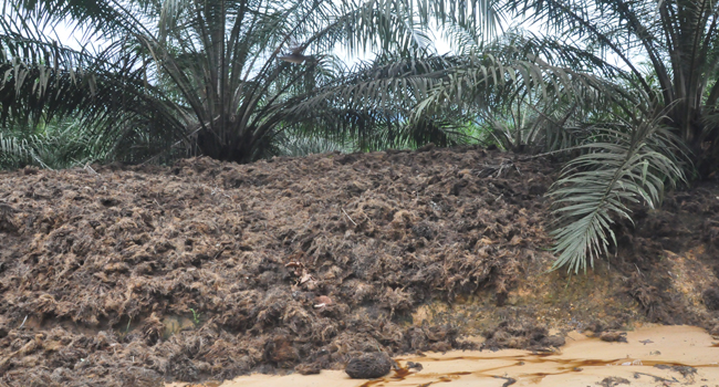 PENGOLAHAN LIMBAH SAWIT | PUPUK BUAH SAWIT