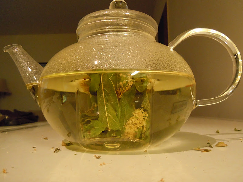 Goat Eats: Loosestrife, New Jersey Tea and Pipsissewa