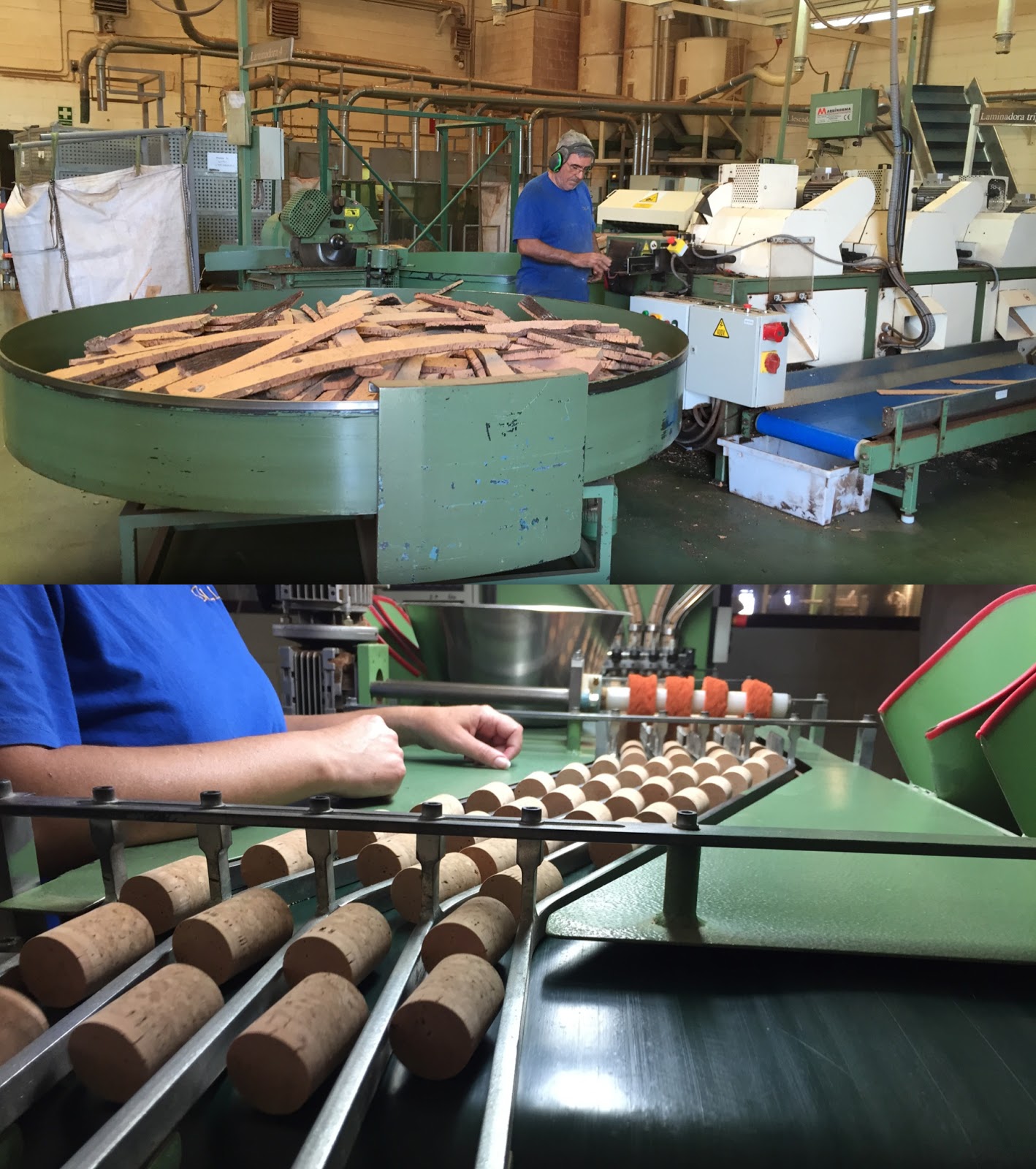 Un viaje por la industria del corcho