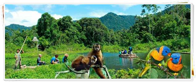 Parque Nacional del Manu - Los mejores lugares turísticos del Perú