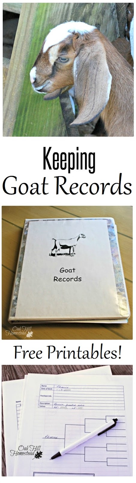 Recordkeeping on the Homestead: Goat Records (including free printables ...