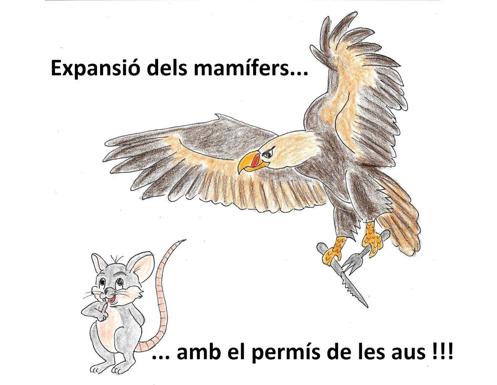 Amics del Museu Geològic del Seminari de Barcelona: Isabel Benet ...