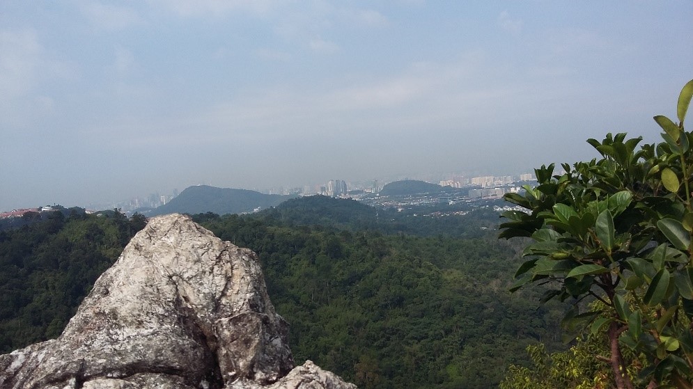 Mohd Faiz bin Abdul Manan: Bukit Batu Condong