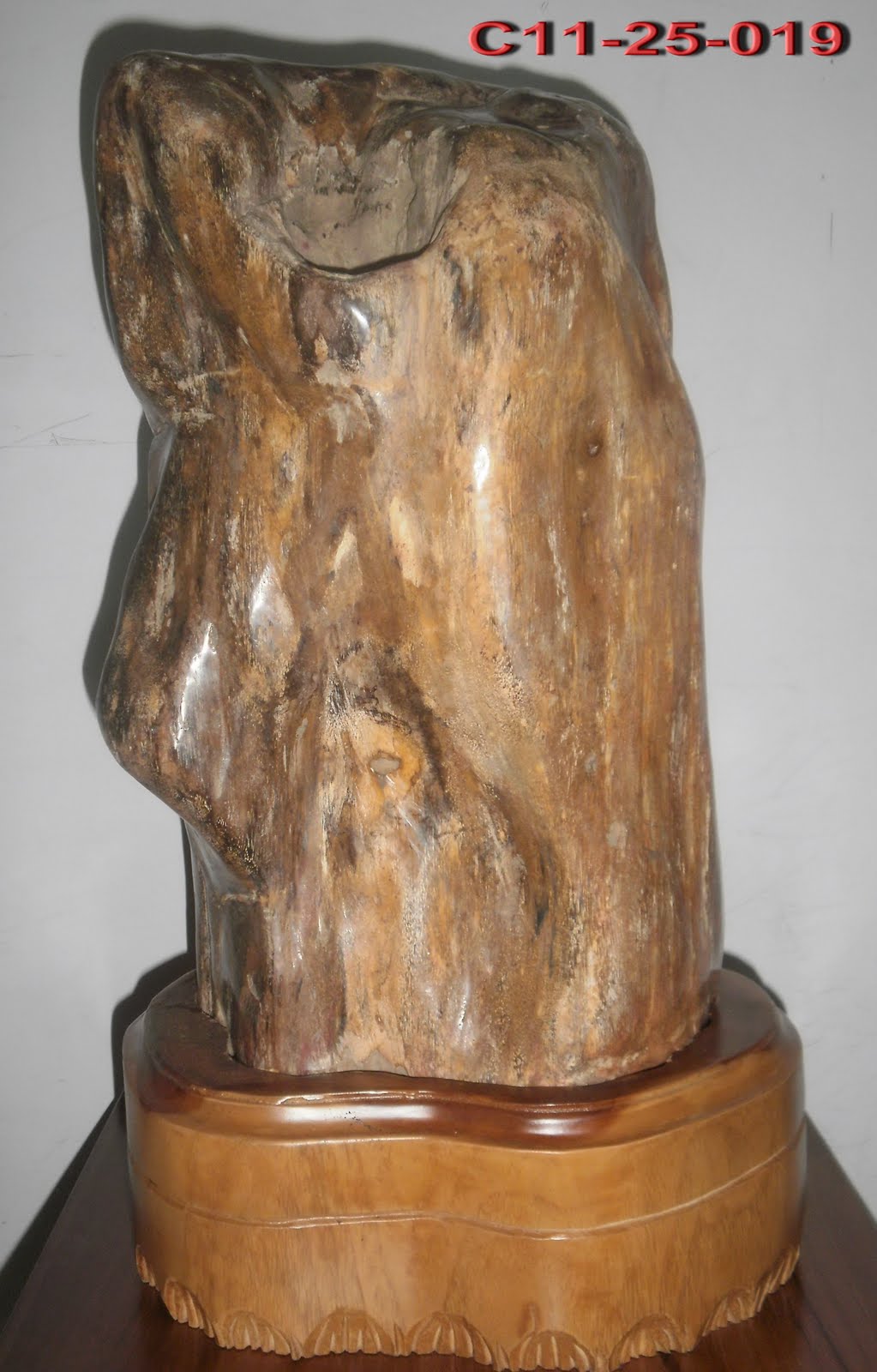 Fosil Kayu Art Lampung