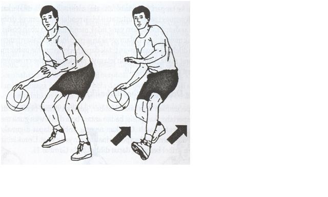 Latihan Dasar BASKET: Teknik Dribble