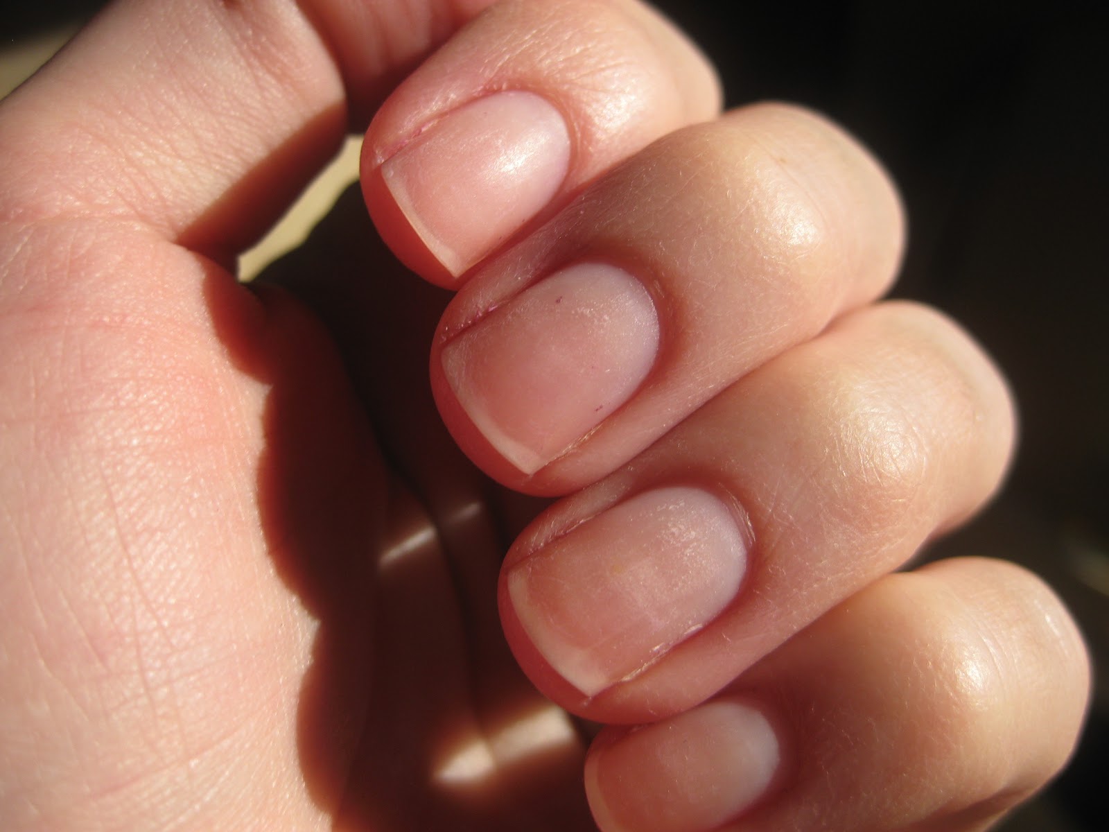 Beauty Blog by Lisa - TIPS from head to toe!: Feeding your nails with ...