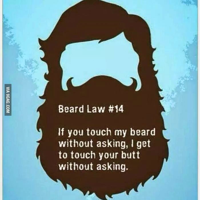 Beard Law. if you touch my beard without asking, I get to touch your ...