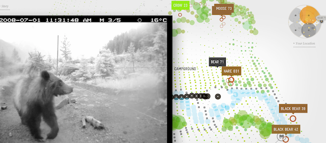 Cécile - Reportage - blog