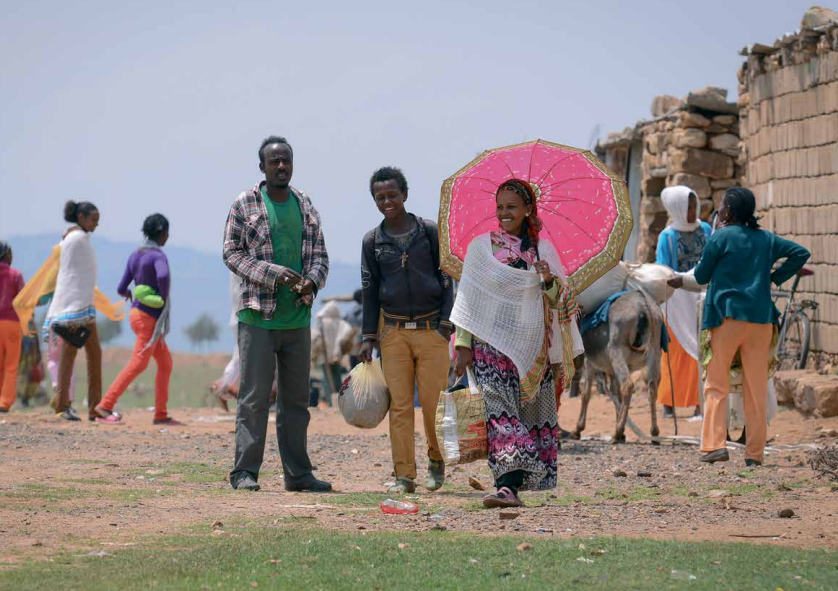 United Nations Development Programme in Eritrea - UNDP Report - Madote