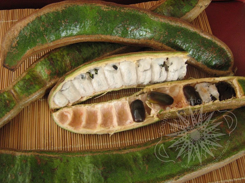 Cocina Costarricense: guabas