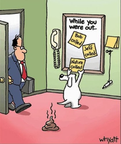 Light 'N Funny..........Plus Opinion: Whyatt Cartoon - Part 4