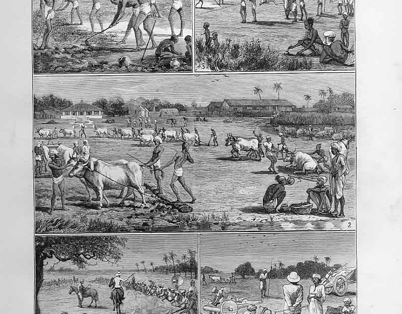 pensive thoughts: The story of ‘Indigo’