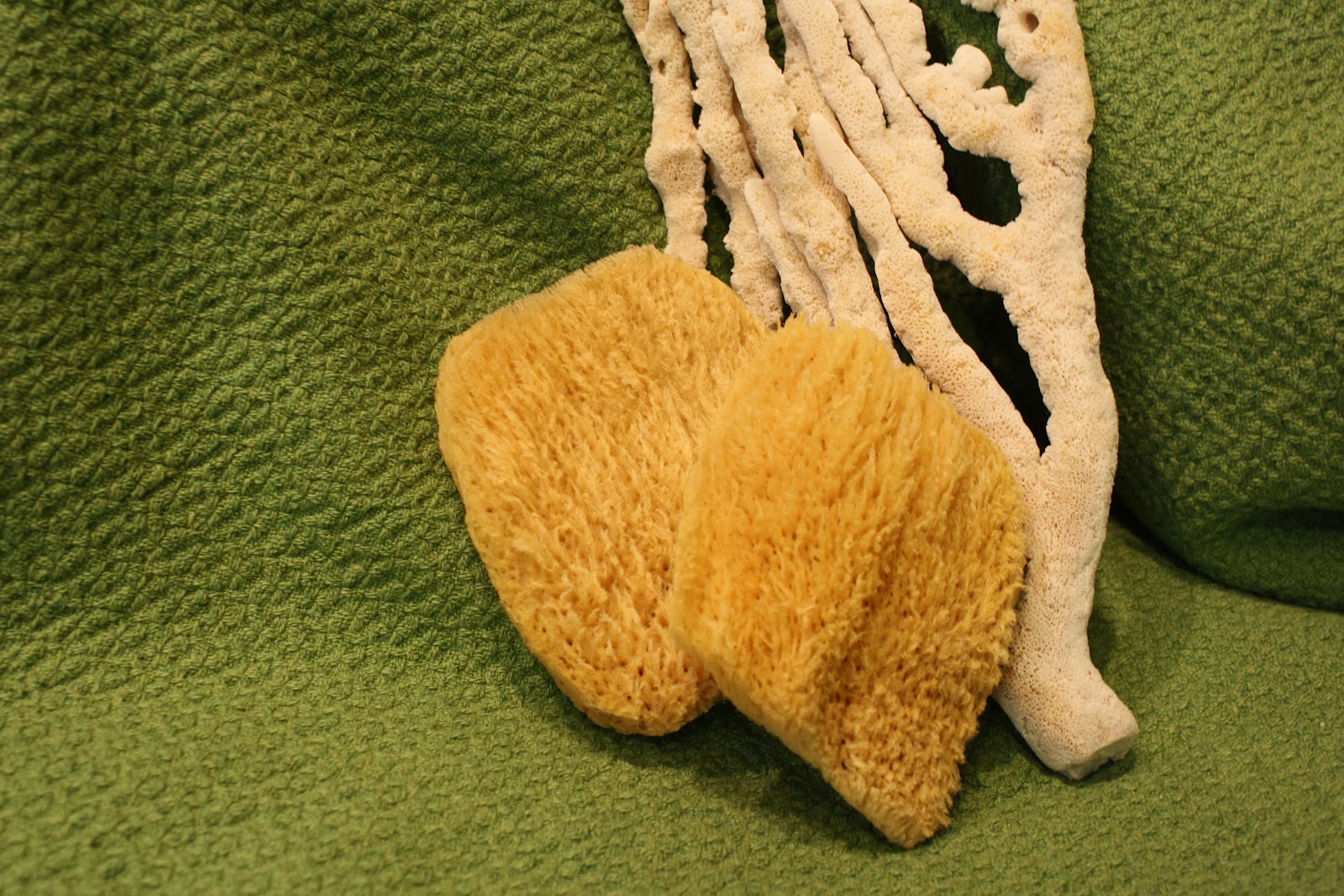 Nature's Pure Essentials: Nature's Pure Essentials Bathing & Decorative ...