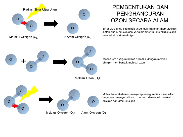 KimintekHijau.com: OZON