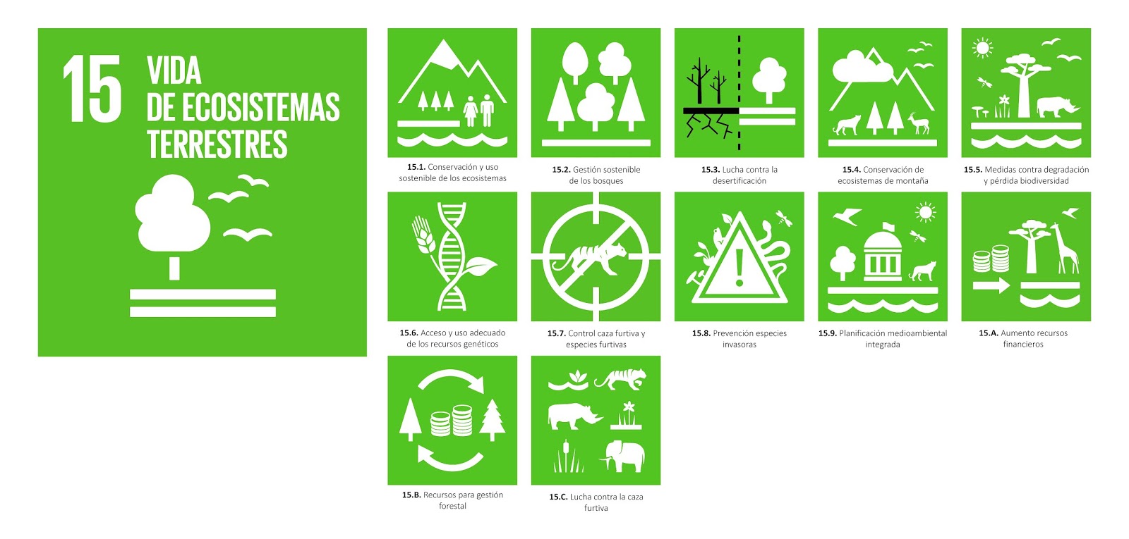 ALMAGRA: Metas y objetivos de la Agenda 2030: ODS15 Vida de Ecosistemas ...