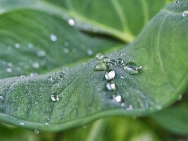 Blog Belajar IPA SMP: Perubahan Wujud Zat